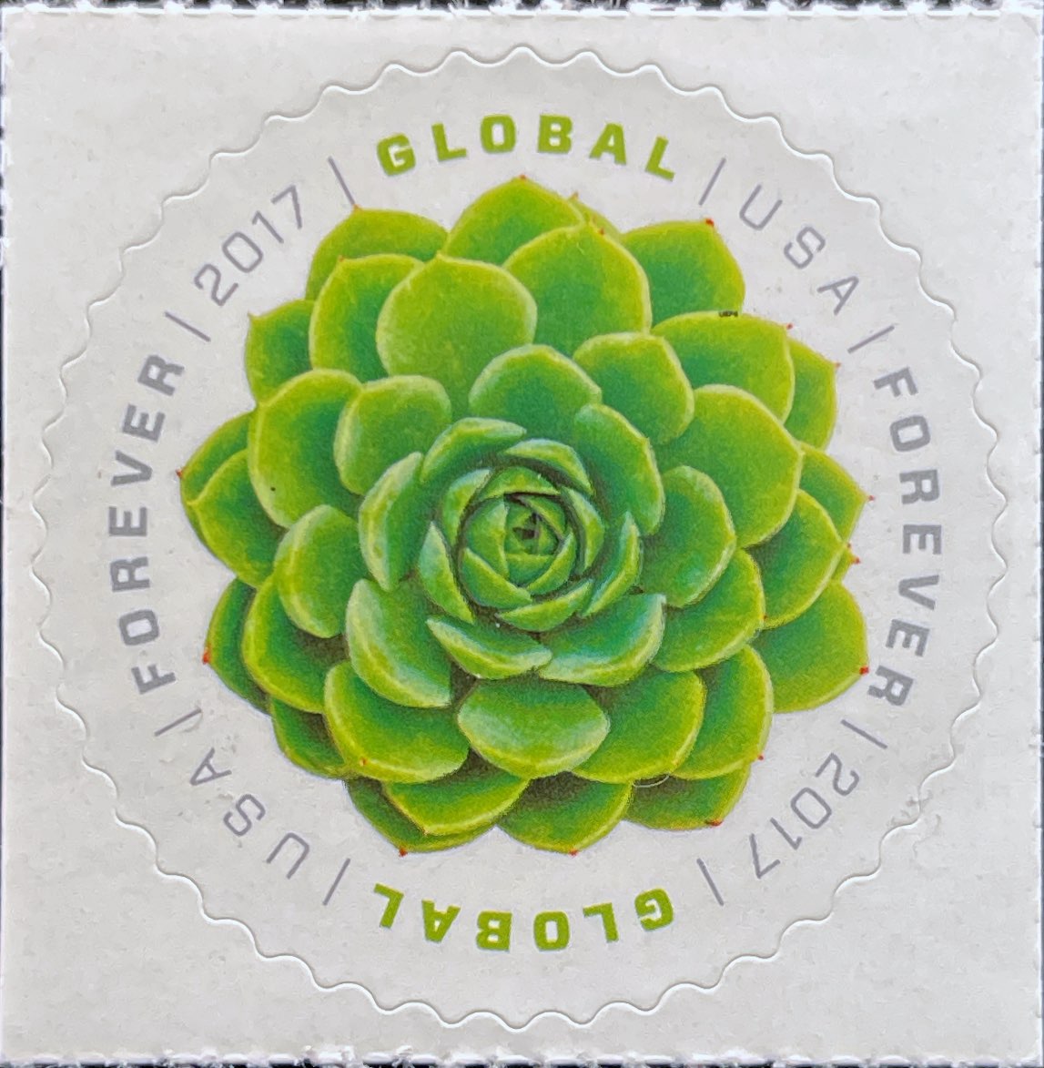US 5198 2017 Global Forever Echeveria Plant: Allstamp.net